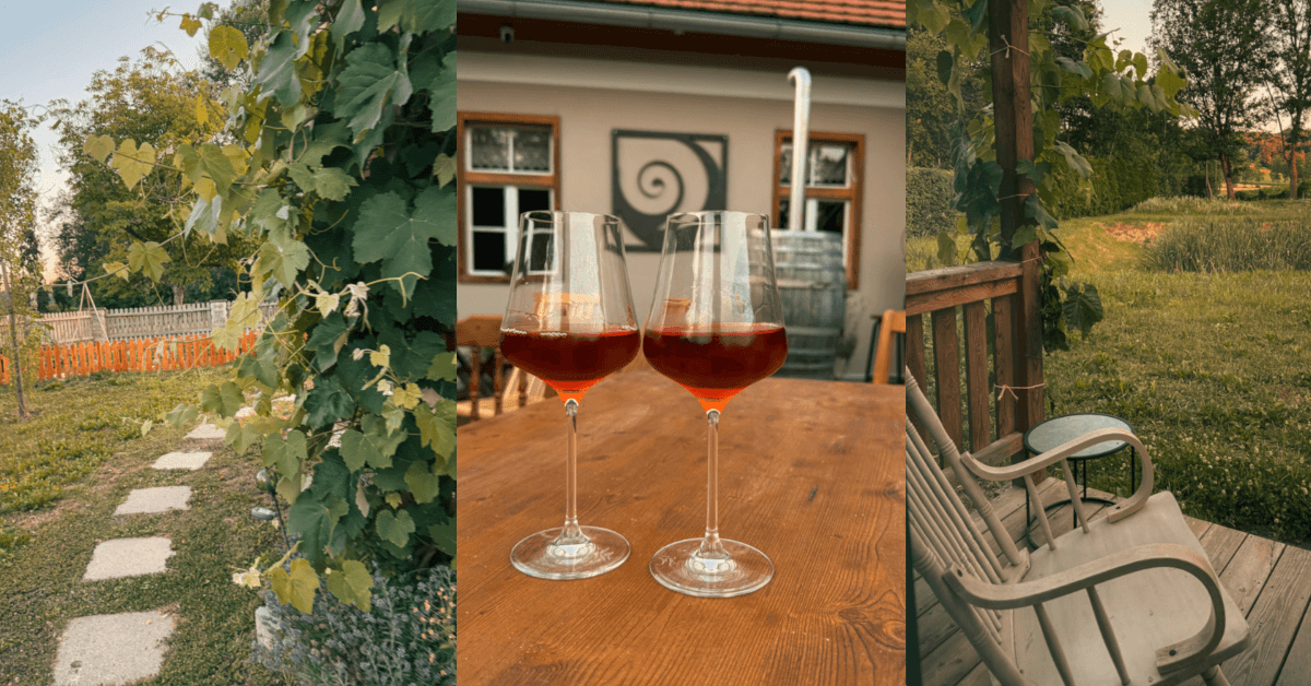 Poveste, vinuri bio și liniște la Monschein Weingut Straden